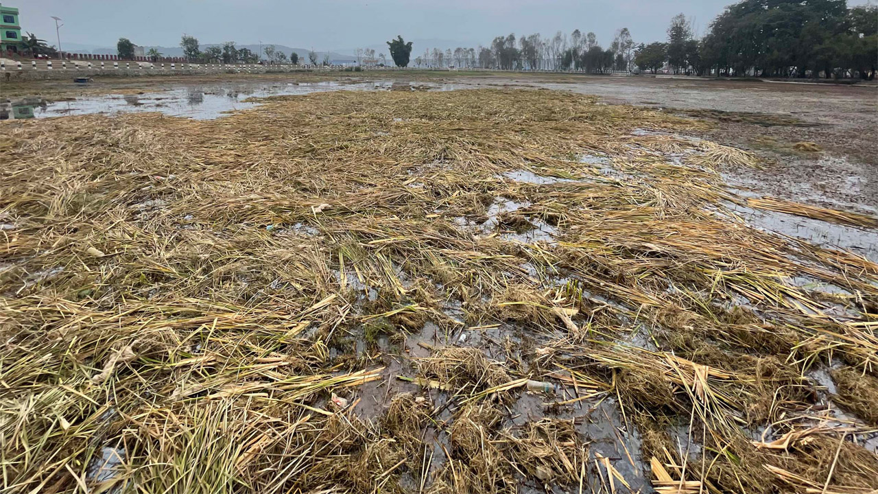बुलबुले तालको अस्तित्व सङ्कटमा