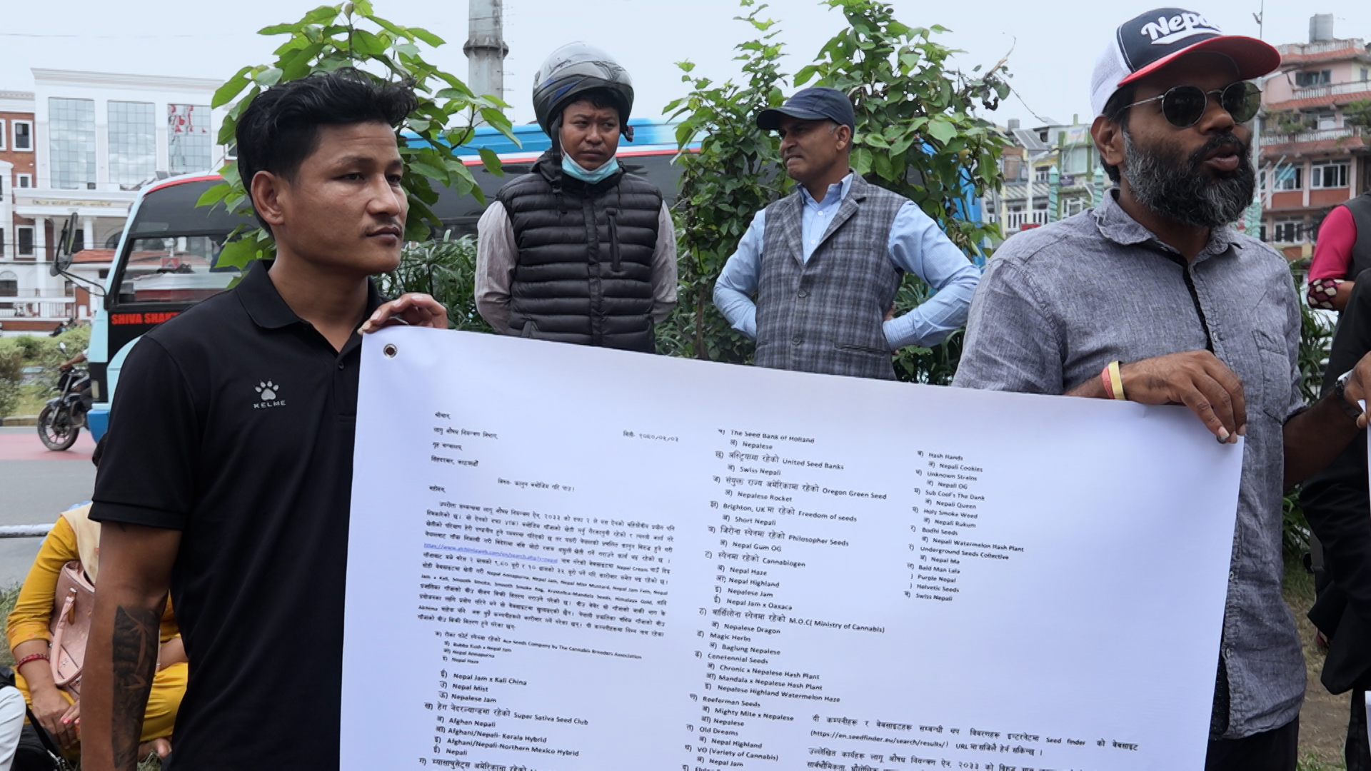 गाँजाको वैधता माग गर्दै व्यवसायी आन्दोलित